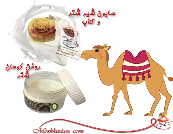 خواص روغن کوهان شتر در درمان-عطاری مشکستان